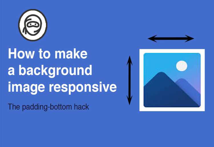 How To Make A Background image Responsive TOMDUFFYTECH COM